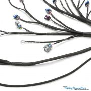 GM 6.0L LY6/L96 6.0L Standalone Wiring Harness | SIKKY