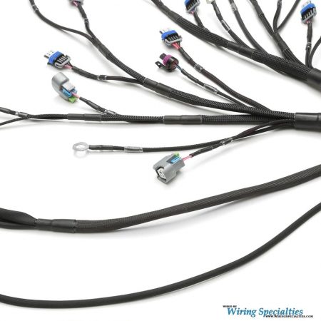 GM 6.2L LS3/L99 6.2L Standalone Wiring Harness | SIKKY